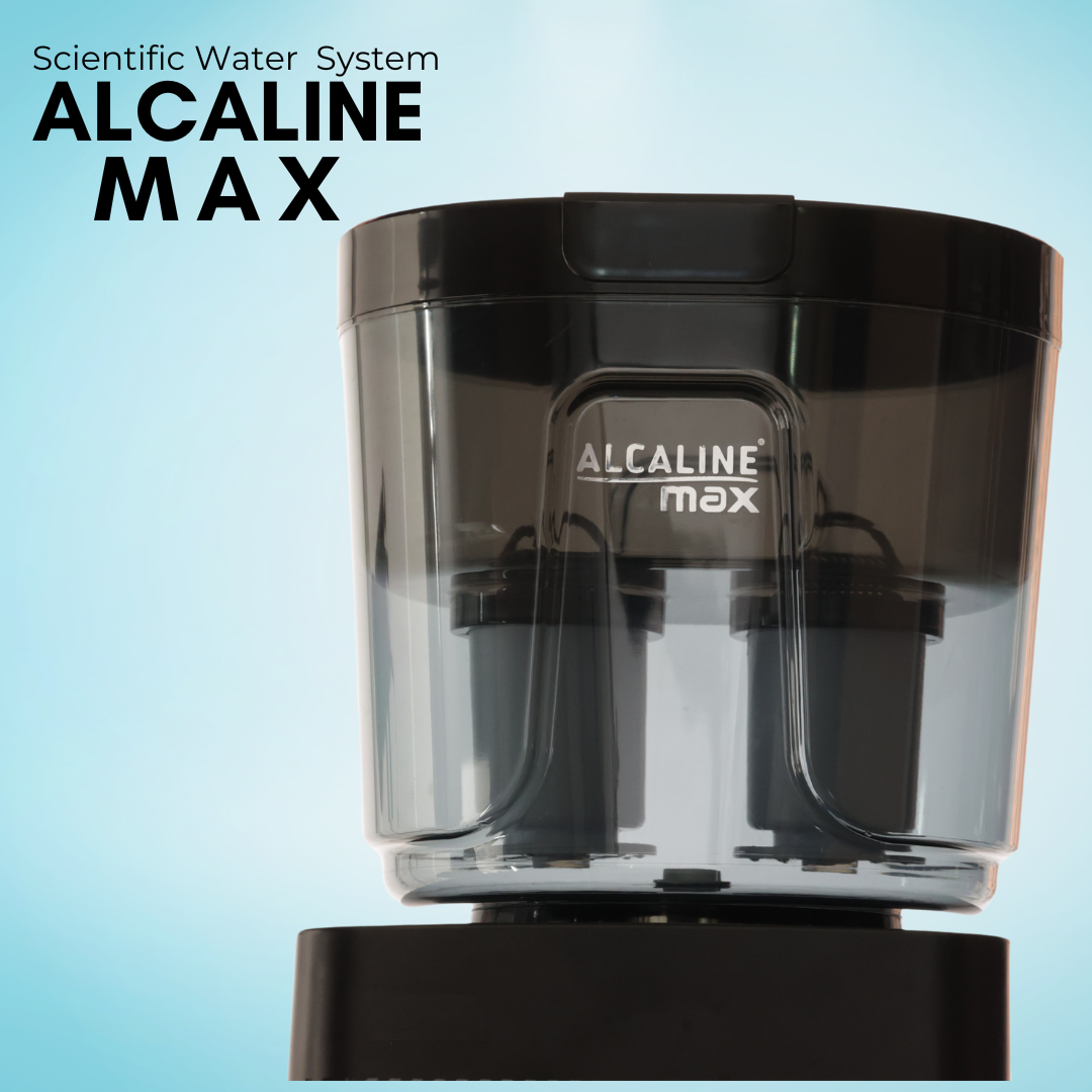 S.W.S Alcaline Max Black – e-Energy by Nipponflex